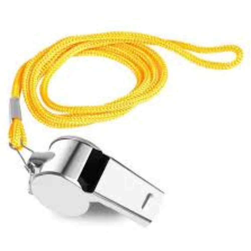 Stainless Whistle – Mutare Computers